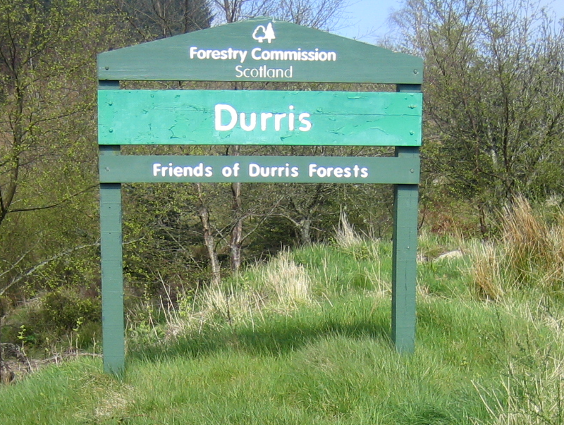 Durris Wood Mountain Bike Trails