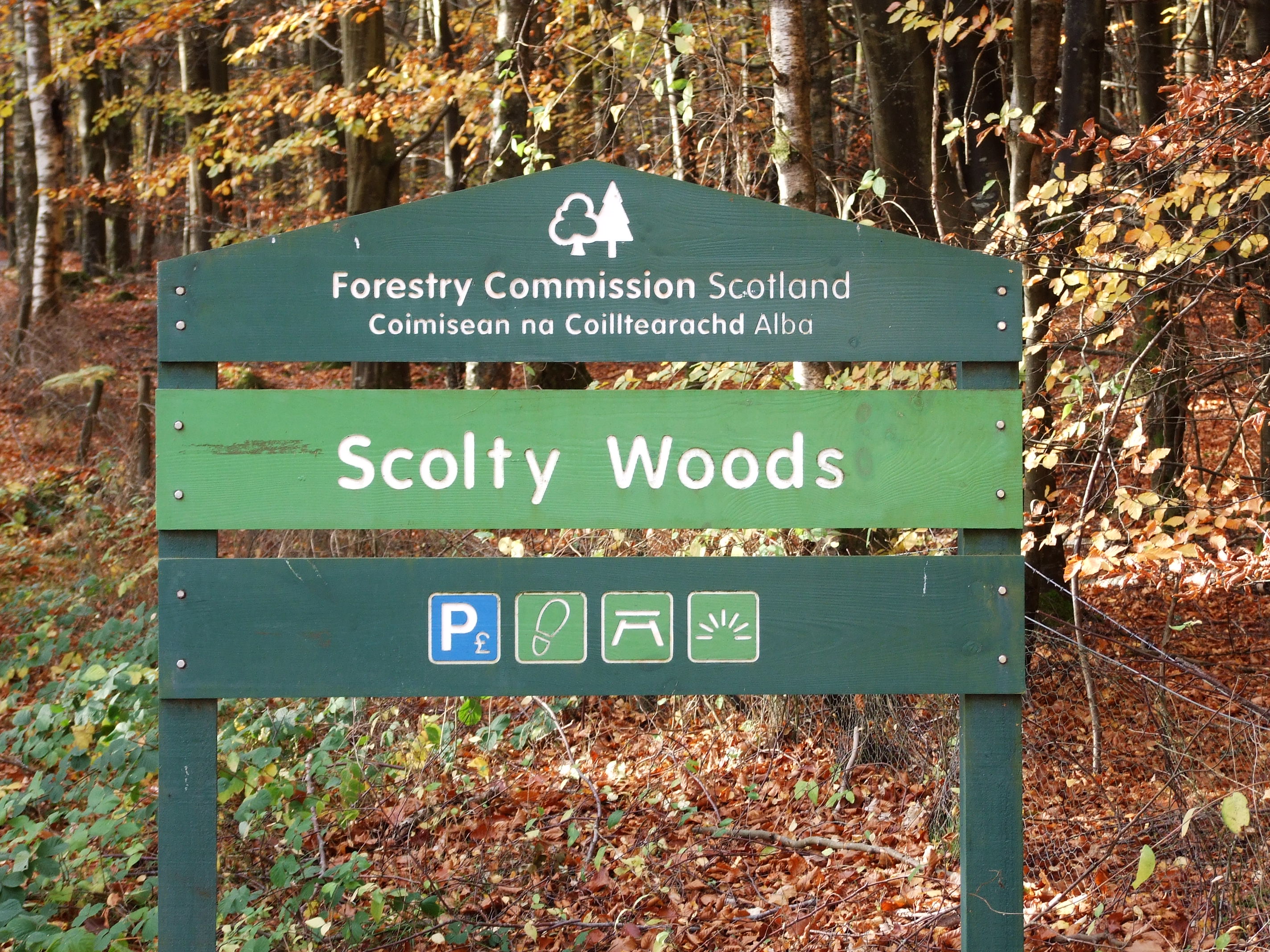 Scolty Hill Mountain Bike Trails